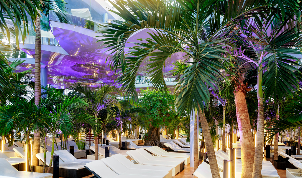 The Palm Relaxation Area | Therme București